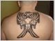 40 Phoenix Tattoo designs For Men